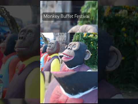 π Monkey Buffet Festival in Thailand β A Wild Feast Like No Other! ππ #tradition #thailandtravel