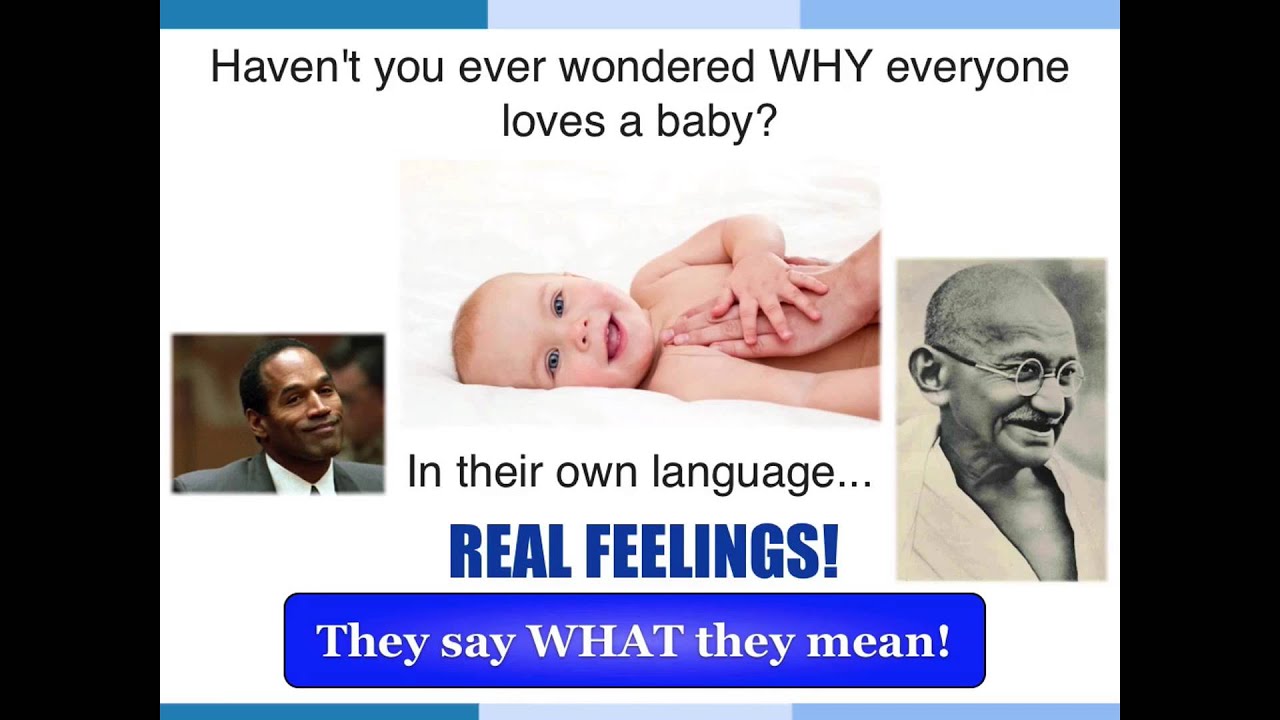 A Bug Free Mind | Creating A Bug Free Mind | Using A Bug Free Mind | by Andy Shaw