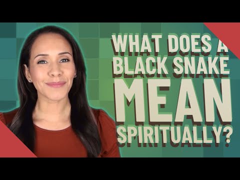 What does a black snake mean spiritually?