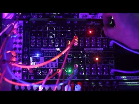 Division 6 Dual Mini Sequencer V2 chip Eurorack 2x 16-step | Reverb
