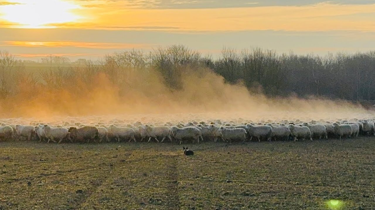 Winter turns to Spring 2025