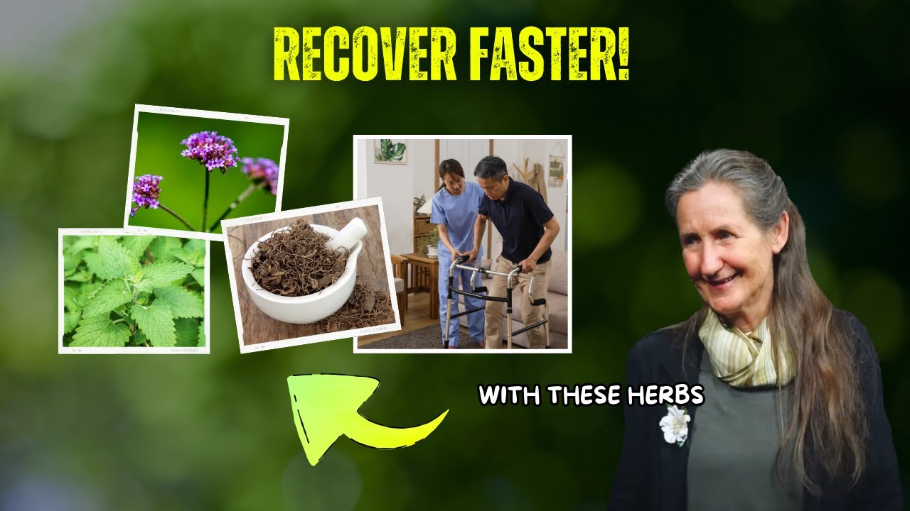 Natural Remedies for Stroke Recovery: Harnessing the Power of Herbs ...