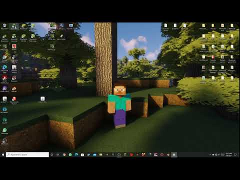 How To Use Any Skin Offline 1.16.5