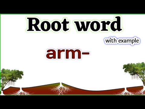 root word arm meaning | root words in English |vocabulary | #englishscholar #rootwords