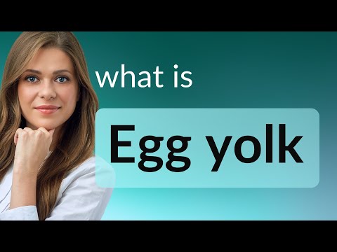 Egg yolk — EGG YOLK definition