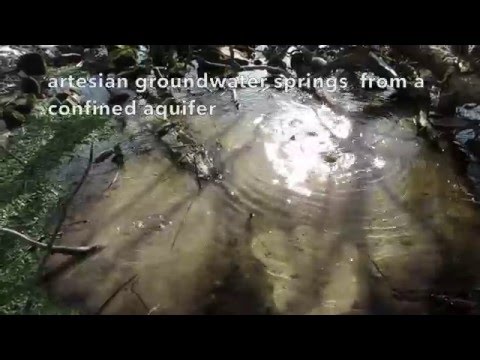 Artesian Springs, WI wetland USA, March, 2016