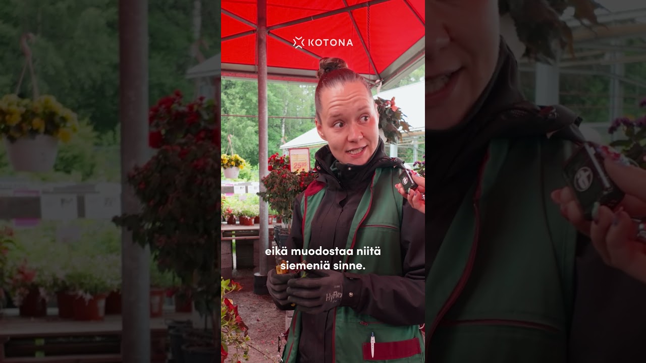 Miten kesäkukkia nypitään?