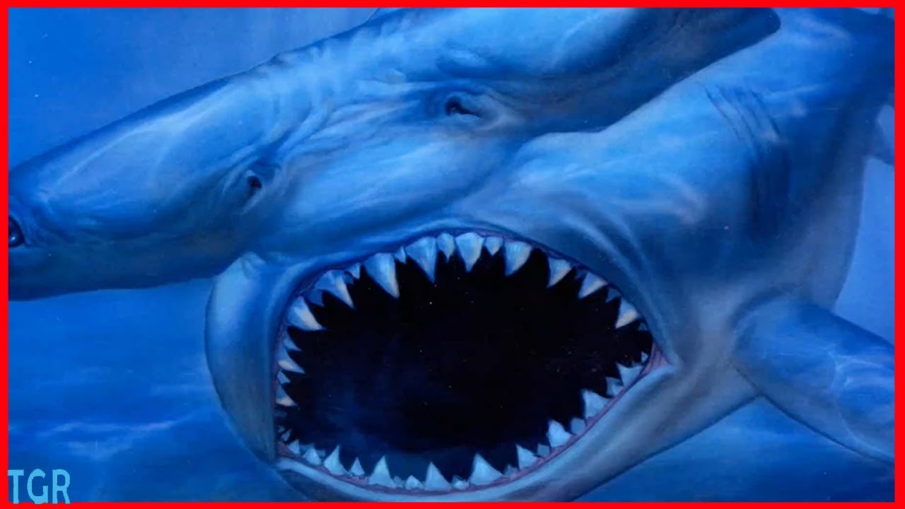 Casey fights a shark I tmnt vol 4 issue 30