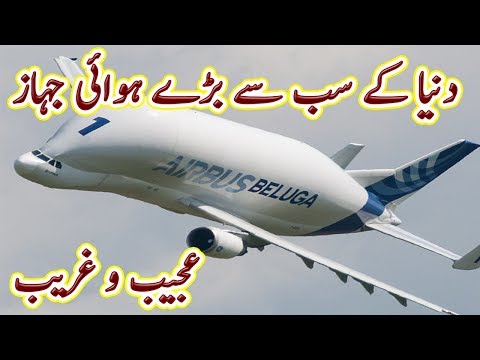 Insanely Big Commercial Airliners in the World | Urdu Documetary | Factical