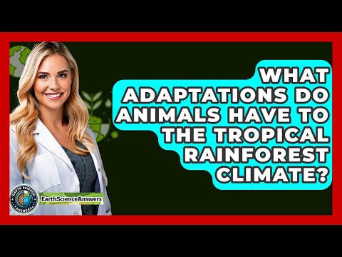 What Adaptations Do Animals Have To The Tropical Rainforest Climate? - Earth Science Answers