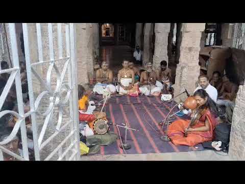 Ayyarappar Temple Mandala poojai Niraivu Thevaaram Programme - Violin by Sriranjani (Saaramathi)