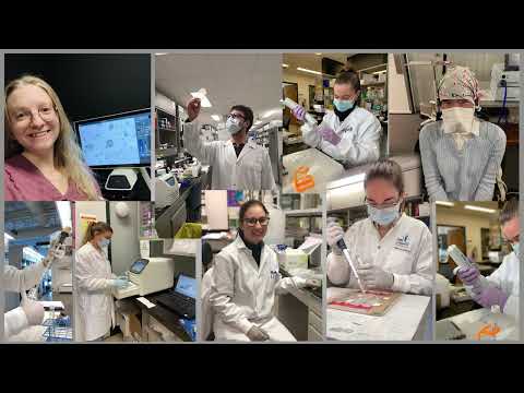 Le programme en sciences biomédicales ULaval, c’est pour qui?