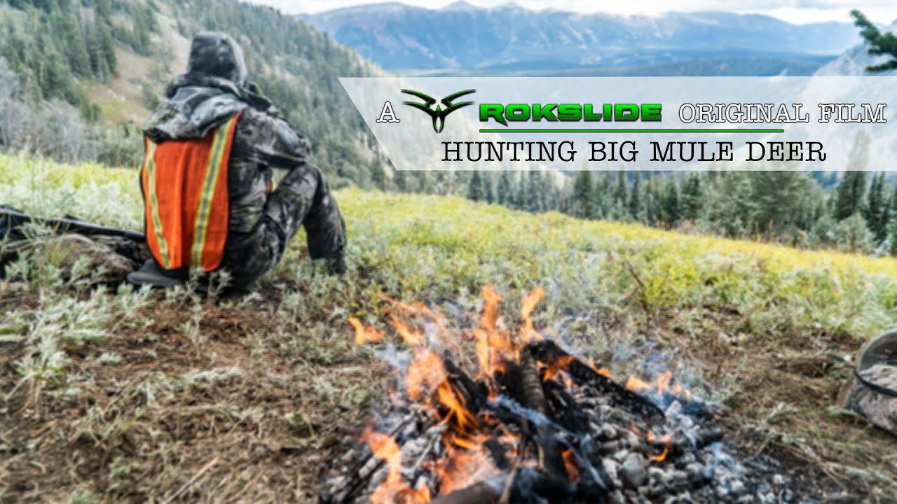 Hunting Big Mule Deer - a Rokslide.com Original