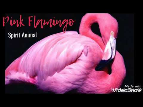 Pink Flamingo-Spirit Animal