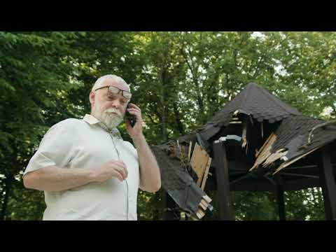 Alfa Insights ā How to handle storm damage