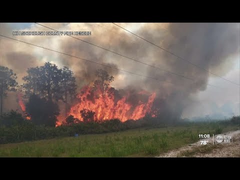 125-acre brush fire in Hillsborough County contained, officials say