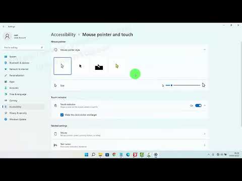 Windows 11 Home : How to Change mouse pointer style