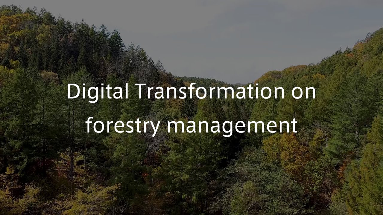 Digital Transformation on forestry management