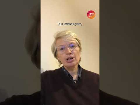 So What Happened At COP29?: Fiona Harvey, The Guardian