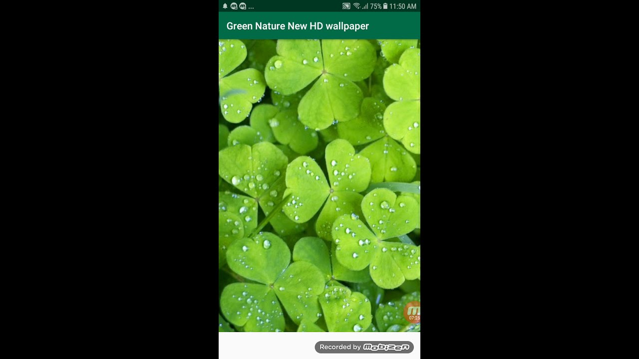400+ Green Nature 4K Wallpaper | Green natural wallpaper | Green Wallpaper in 5 minutes