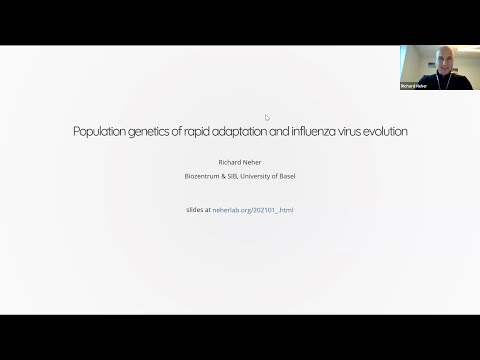 Population genetics of rapid adaptation and influenza virus evolution