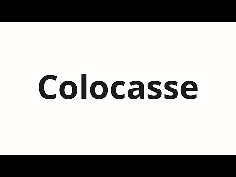 How to pronounce Colocasse