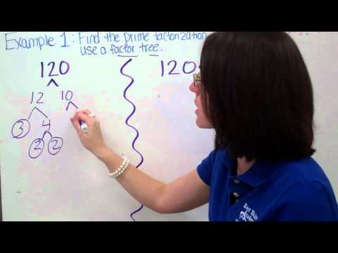 Prime Factorization