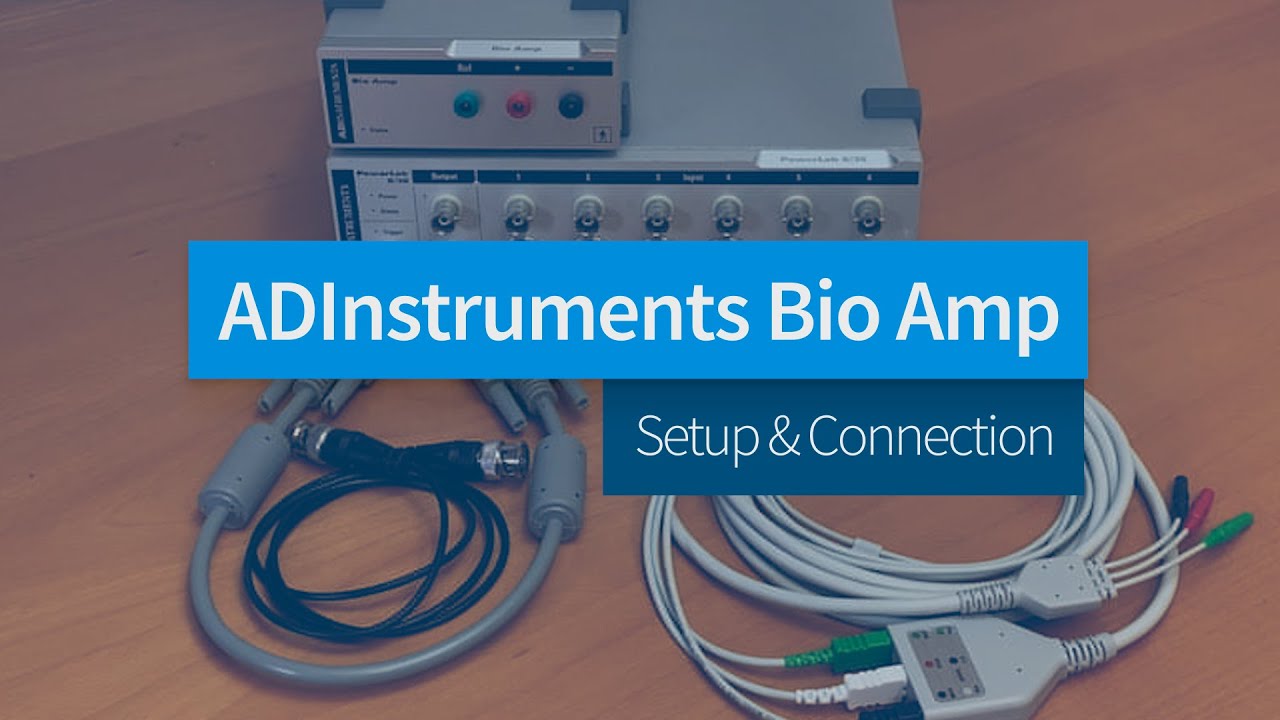 How to Connect the Bio Amp to PowerLab and LabChart