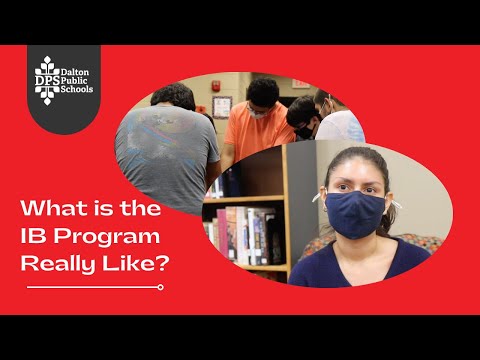 What is the IB Program Really Like? (Dalton High School IB Diploma Programme)