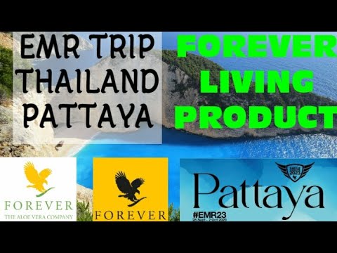 FLP #EMR TRIP THAILAND PATTAYA 🤗😱🗺🛫#viral #trendingvideo #flpindia join this plateform msg me insta⬆