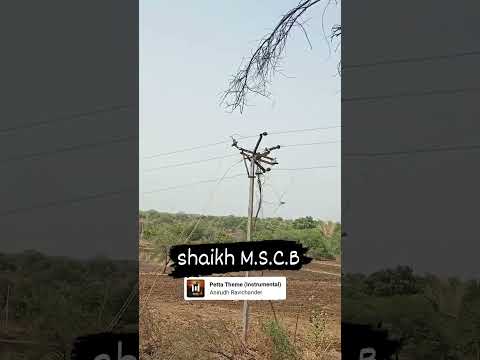 #mscb