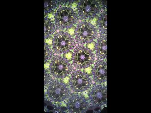 Kaleidescope @ Olbrich