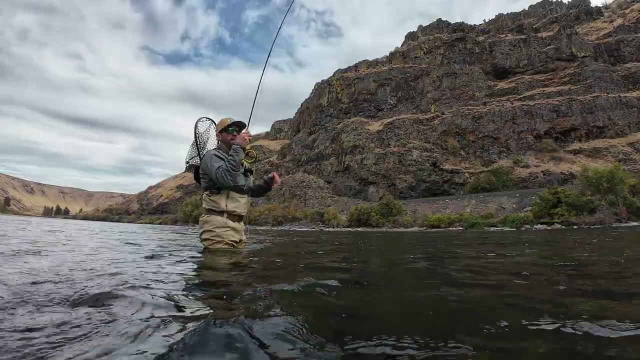 Road Hunting Mid October Trout // Blue Wing Olive Hatch