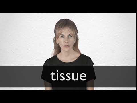 How to pronounce TISSUE in British English