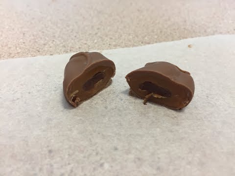 Chocolate Covered Caramel Covered Chocolate?!?!?! (Hercules Candy recreation #4)