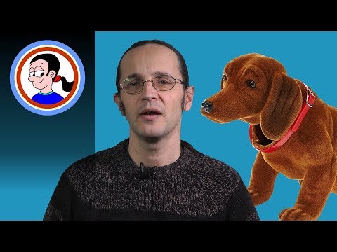 What is a badger dog?