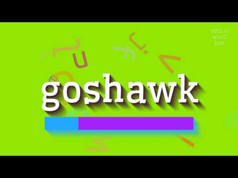 How to say "goshawk"! (High Quality Voices)