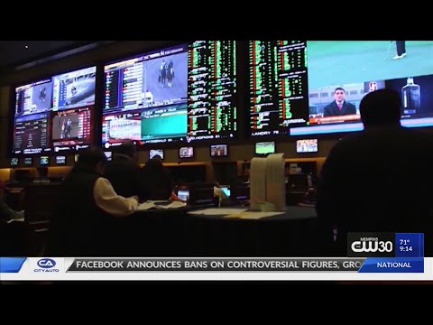 Local I-Team: What's next for online sports betting in Tennessee?
