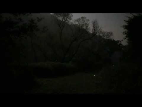 Best Festivals In Pennsylvania: 12 That You Must Experience