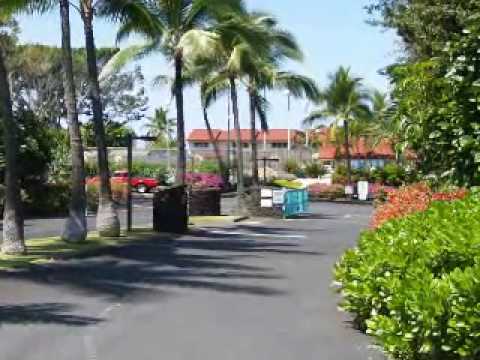 Paniau Heiau: Bulldozed Remains Of A 500 year old King’s Palace ...