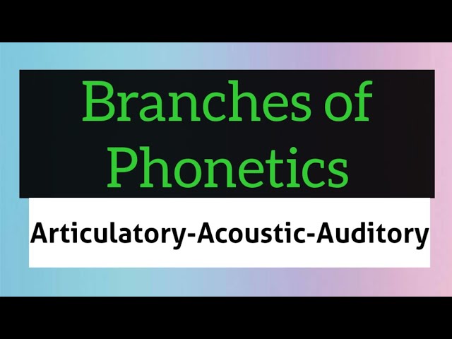 Exploring the Three Branches of Phonetics: Articulatory, Acoustic, and Auditory | Galaxy.ai