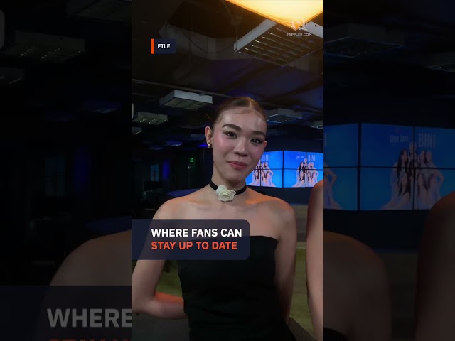 BINI to launch website, hold national BINI day in June