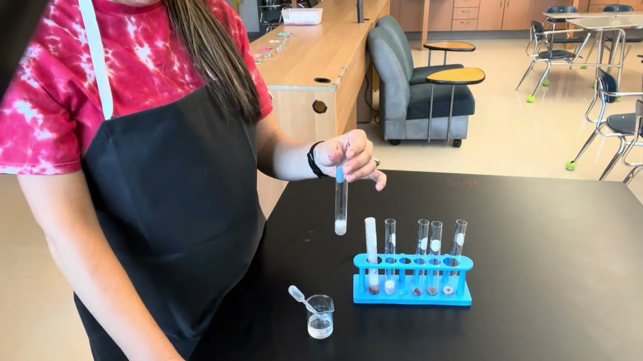 Liver Enzyme Lab - Demo