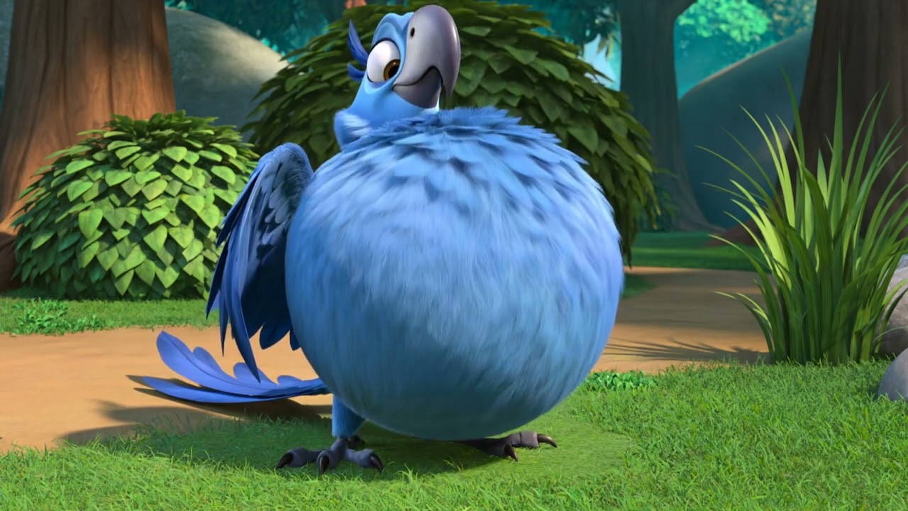 Birdie Beany Brap
