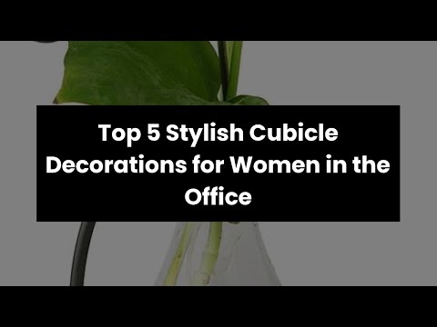 【Cubical decorations office women】Top 5 Stylish Cubicle Decorations for Women in the Office