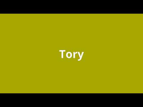 what is the meaning of Tory