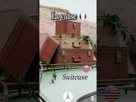 🇺🇸 🇫🇷 suitcase 💼 - FRENCHTIONARY (English French Visual Dictionary)