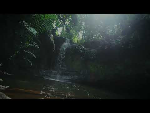 Cinematic: Discover Wasai Tarjun Tinggi, Bukit Dadap - With Canon EOS : Short Film