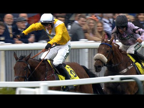 Grade 1 Aintree joy for Old Gold Racing | Wheels of Laughter