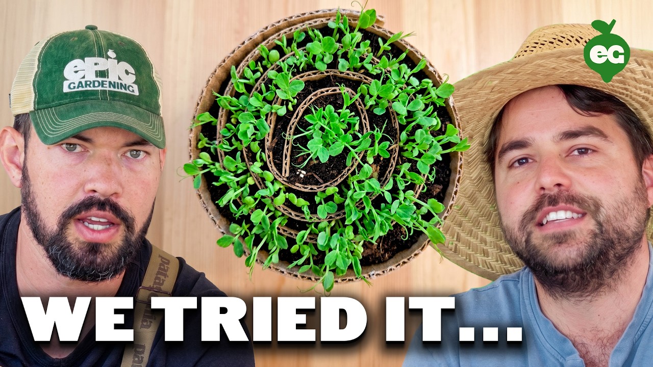 We Tried The Viral Seed Snail Technique & This Happened